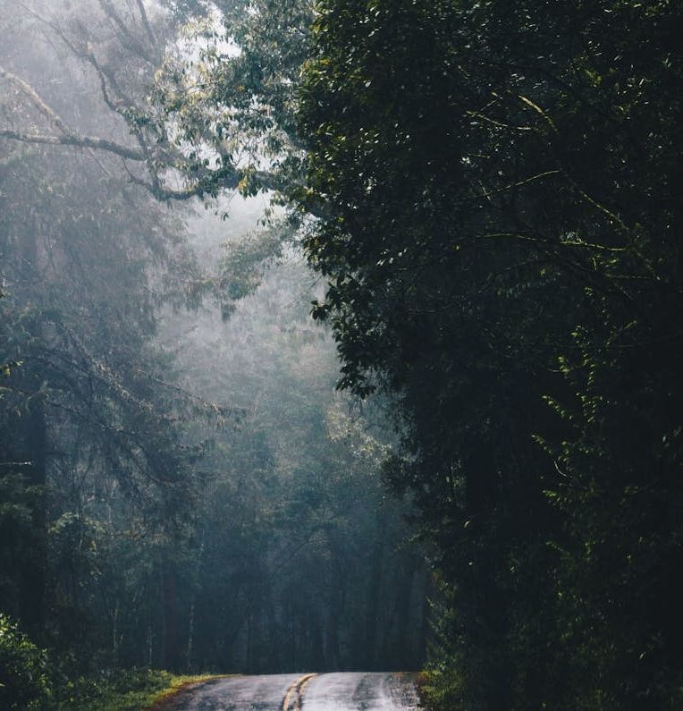 I Miss Winter Already – eyeamdust